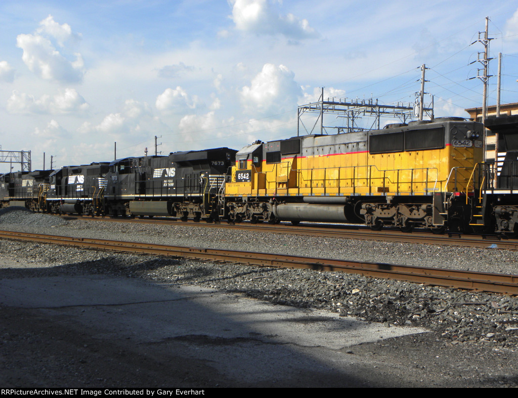 NS 6542, NS 7673, NS 5555, and NS 9768
